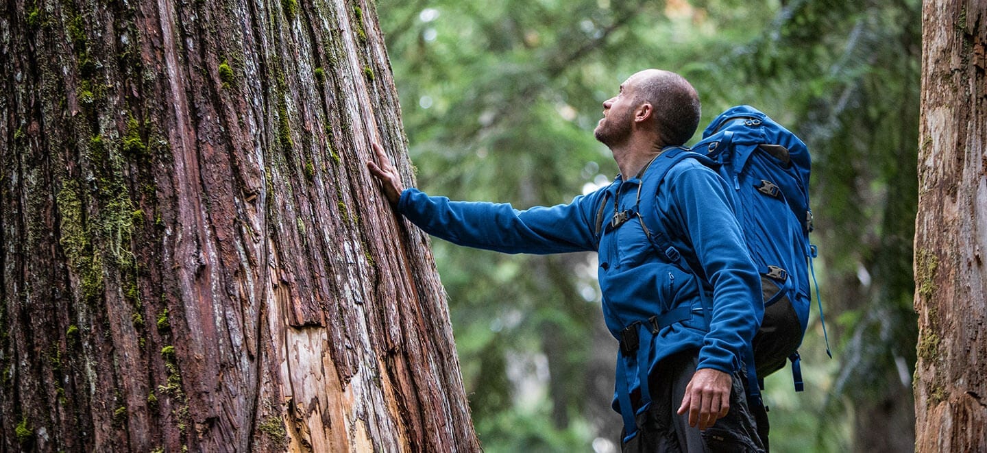 Bell | Wireless, Internet and TV Service Provider in Canada